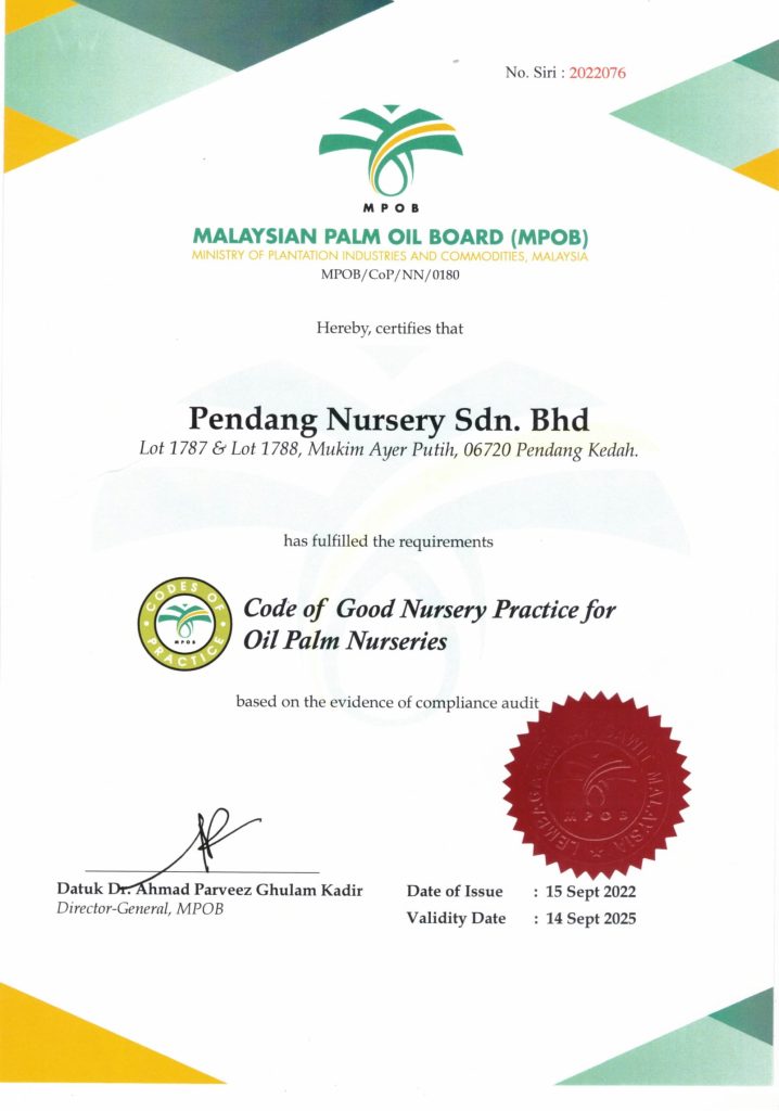 Our Certificate – Pendang Nursery
